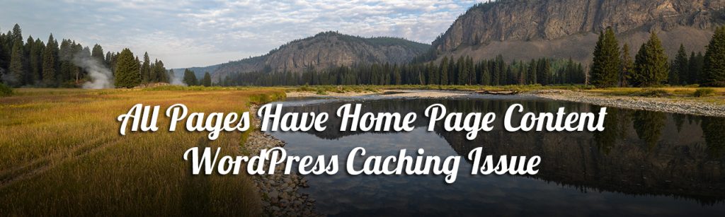 All Pages Have Home Page Content - WordPress Caching Issue - PageCrafter
